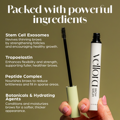 Vellora Brow Serum